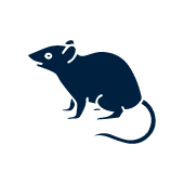 Canberra Pest Control | Local Pest Control Canberra