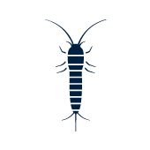 Canberra Pest Control | Local Pest Control Canberra